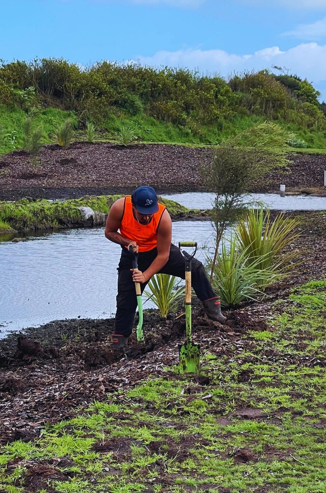 Native Planting & Ecological Restoration | Manawa Landcare NZ